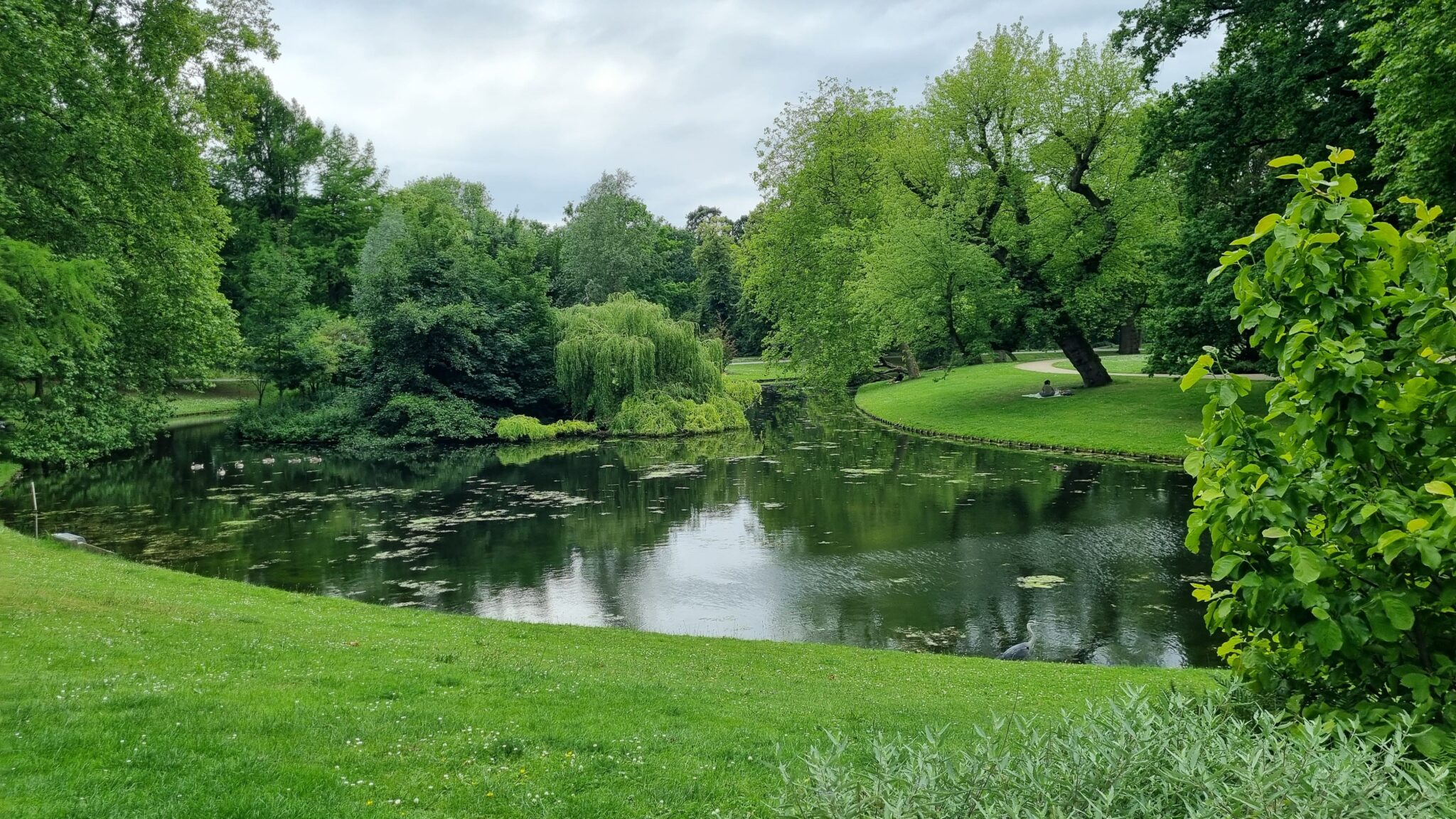 Het Park in Rotterdam – Even ontsnappen aan de stad? In Het Park in ...